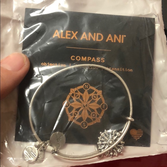 Alex and Ani | Accessories | Alex And Ani Compass Rafaelian Silver ...